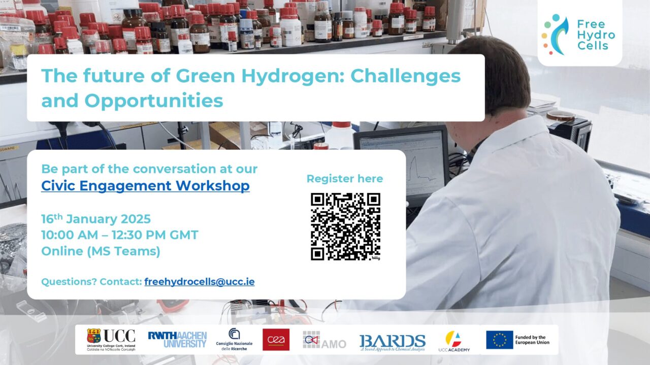 The Future of Green Hydrogen: Challenges and Opportunities - SUNERGY ☀️⛽ 🧱